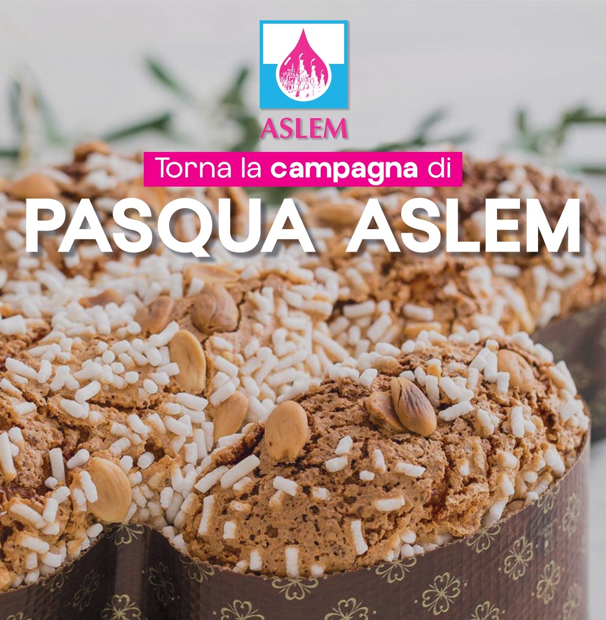 Torna la Campagna di Pasqua ASLEM! - ASLEM